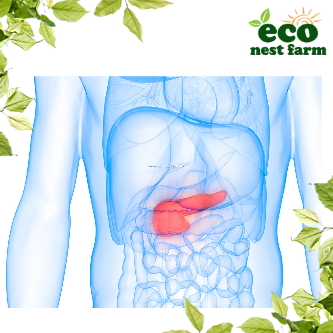 Small Bitter Gourd Tea Peria Kecil 小苦瓜茶